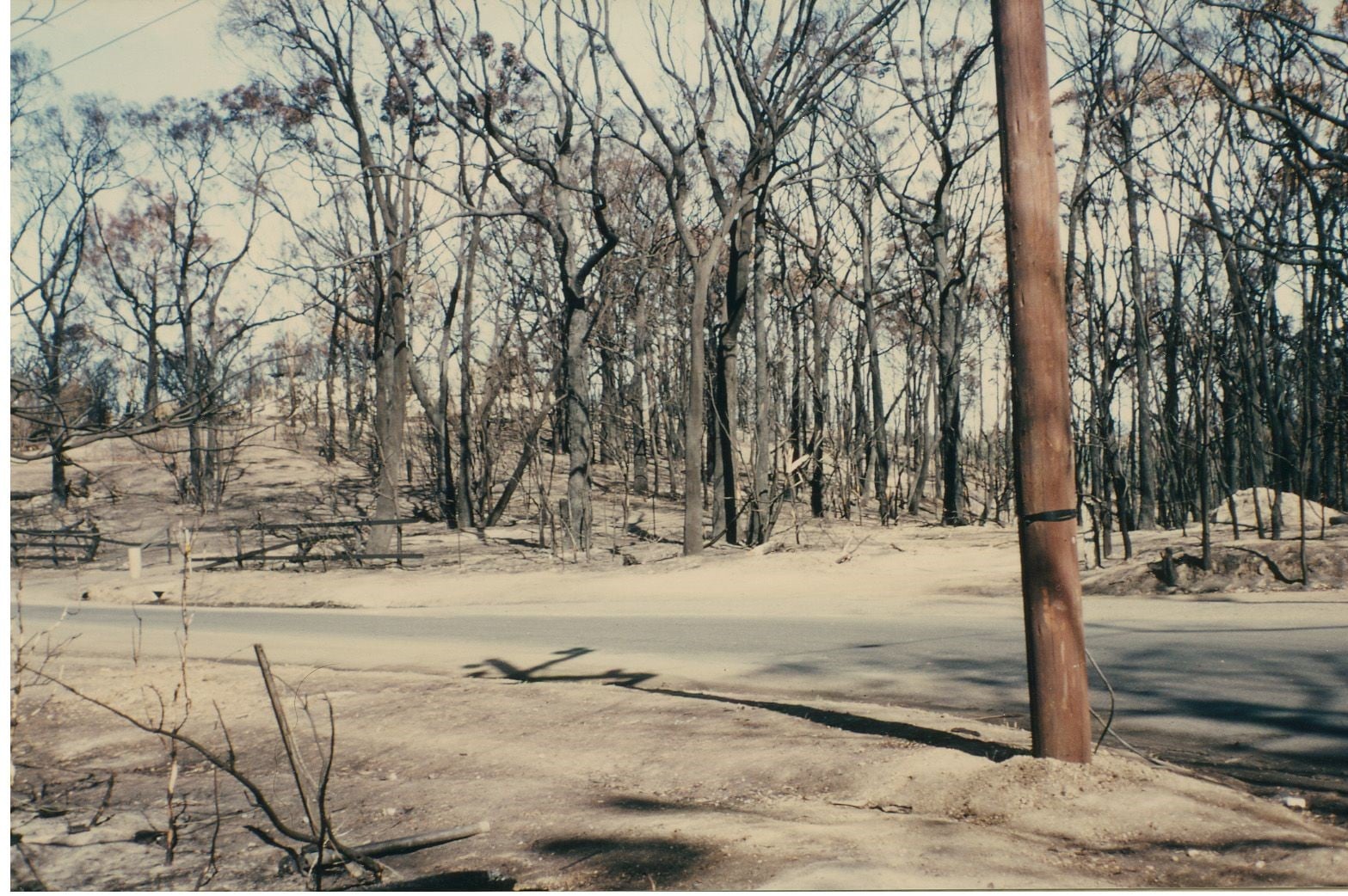 Ash Wednesday 1983 – Belgrave / Upper Beaconsfield. – Victoria’s ...