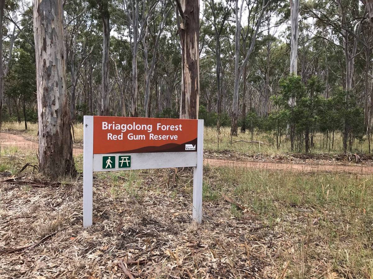 State Forest Signs. – Victoria’s Forests & Bushfire Heritage