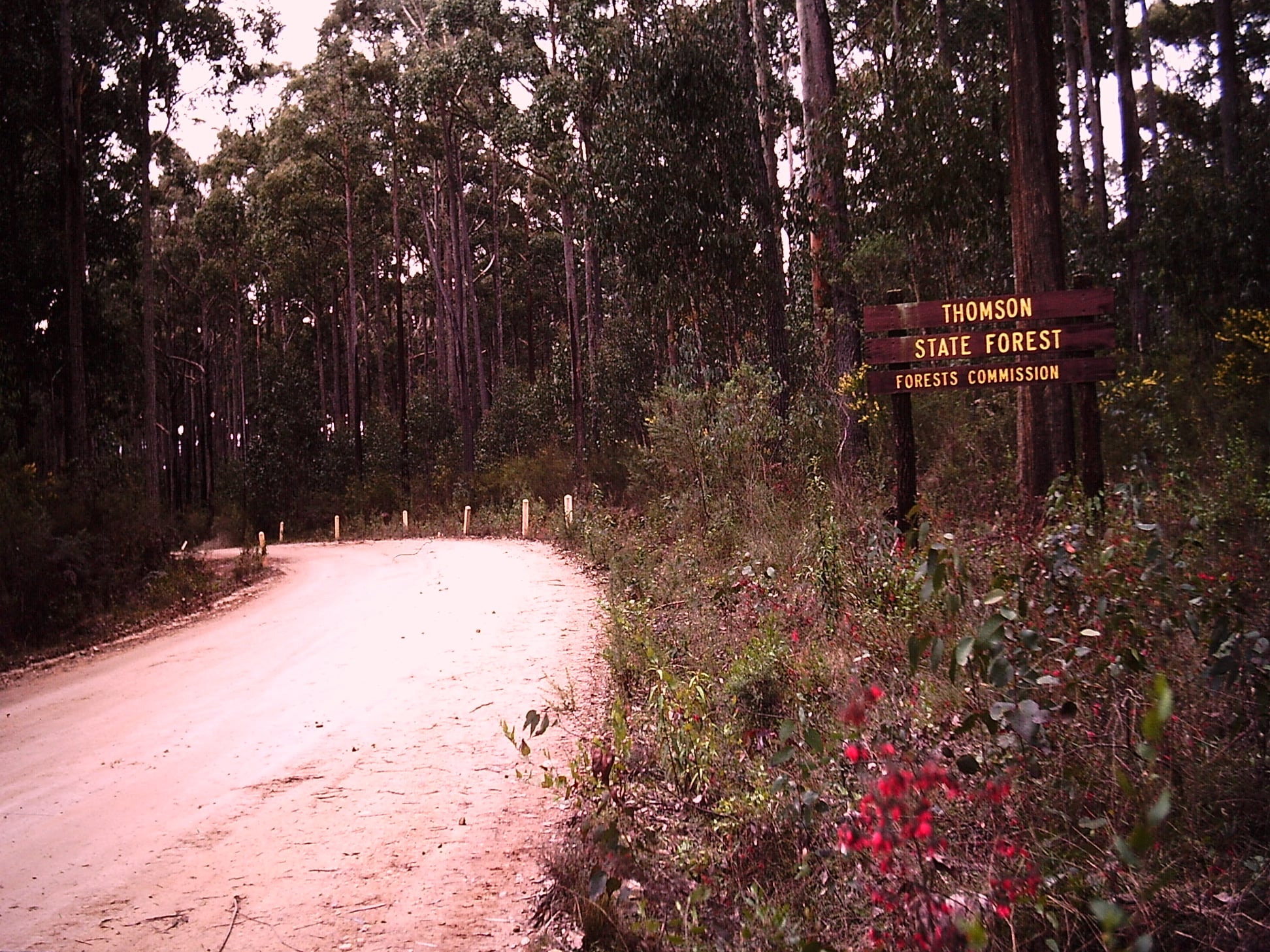 State Forest Signs. – Victoria’s Forests & Bushfire Heritage