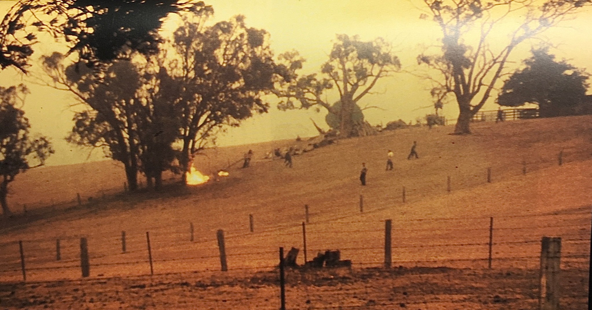 Ash Wednesday – 1983, East Trentham & Macedon. – Victoria’s Forests ...