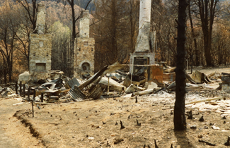 Ash Wednesday – 1983, East Trentham & Macedon. – Victoria’s Forests ...