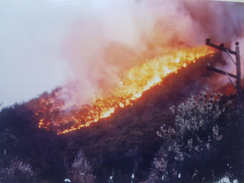 Ash Wednesday 1983 – Warburton. – Victoria’s Forests & Bushfire Heritage
