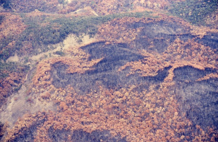 Ash Wednesday – 1983, East Trentham & Macedon. – Victoria’s Forests ...