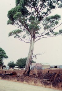 Ash Wednesday – 16 February 1983. – Victoria’s Forests & Bushfire Heritage
