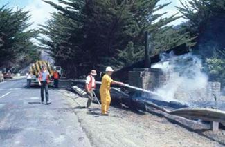 Ash Wednesday 1983 – Otways. – Victoria’s Forests & Bushfire Heritage