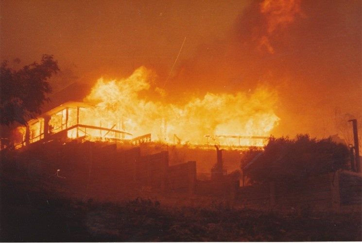 Ash Wednesday 1983 – Otways. – Victoria’s Forests & Bushfire Heritage