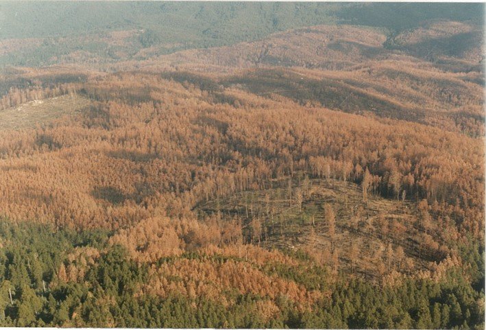 Ash Wednesday 1983 – Bushfire mosaics. – Victoria’s Forests & Bushfire ...