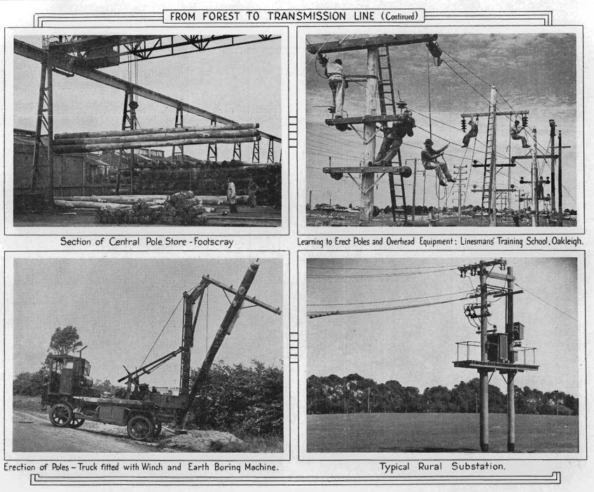 Power Poles. – Victoria’s Forests & Bushfire Heritage