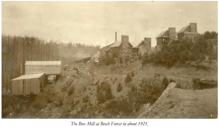 otways-box-mill – Victoria’s Forests & Bushfire Heritage