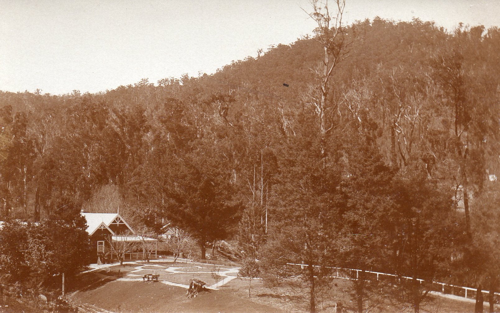 Powell Wood Process – Powelltown. – Victoria’s Forests & Bushfire Heritage