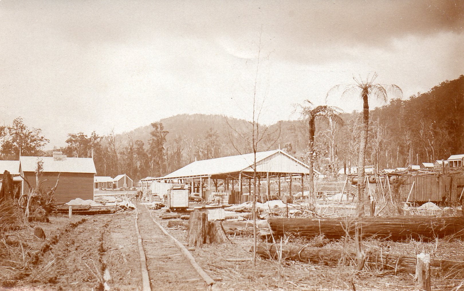 Powell Wood Process – Powelltown. – Victoria’s Forests & Bushfire Heritage