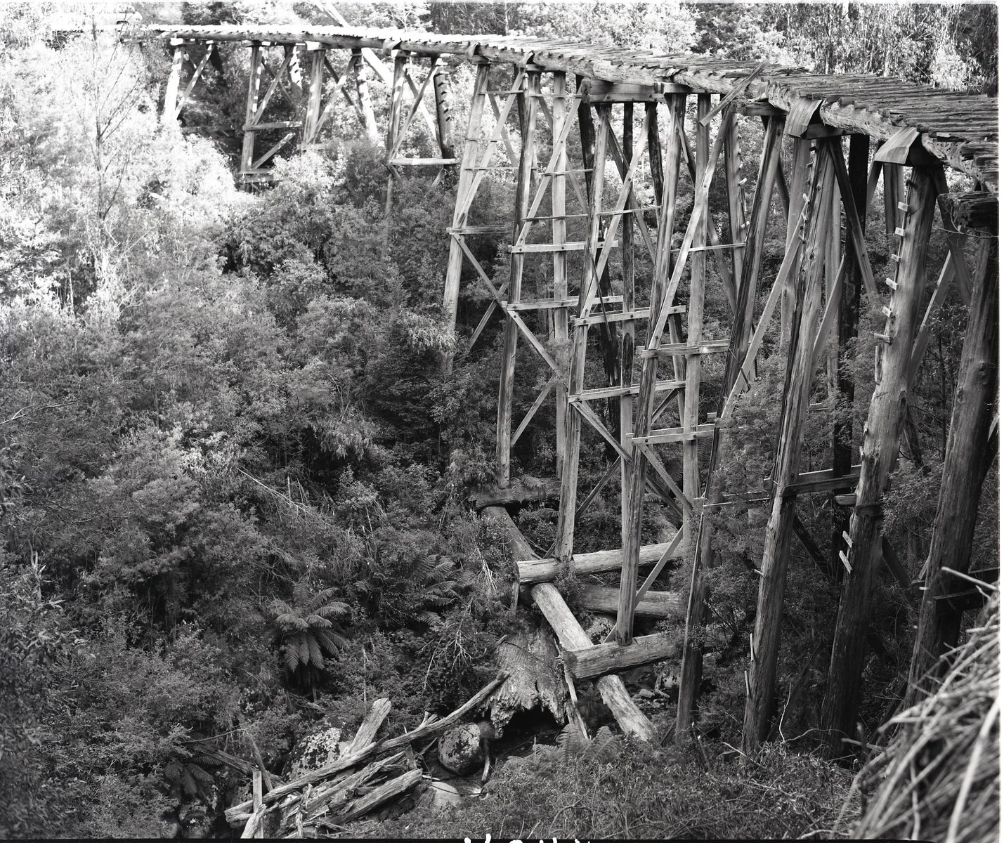 South Cascade Bridge. – Victoria’s Forests & Bushfire Heritage