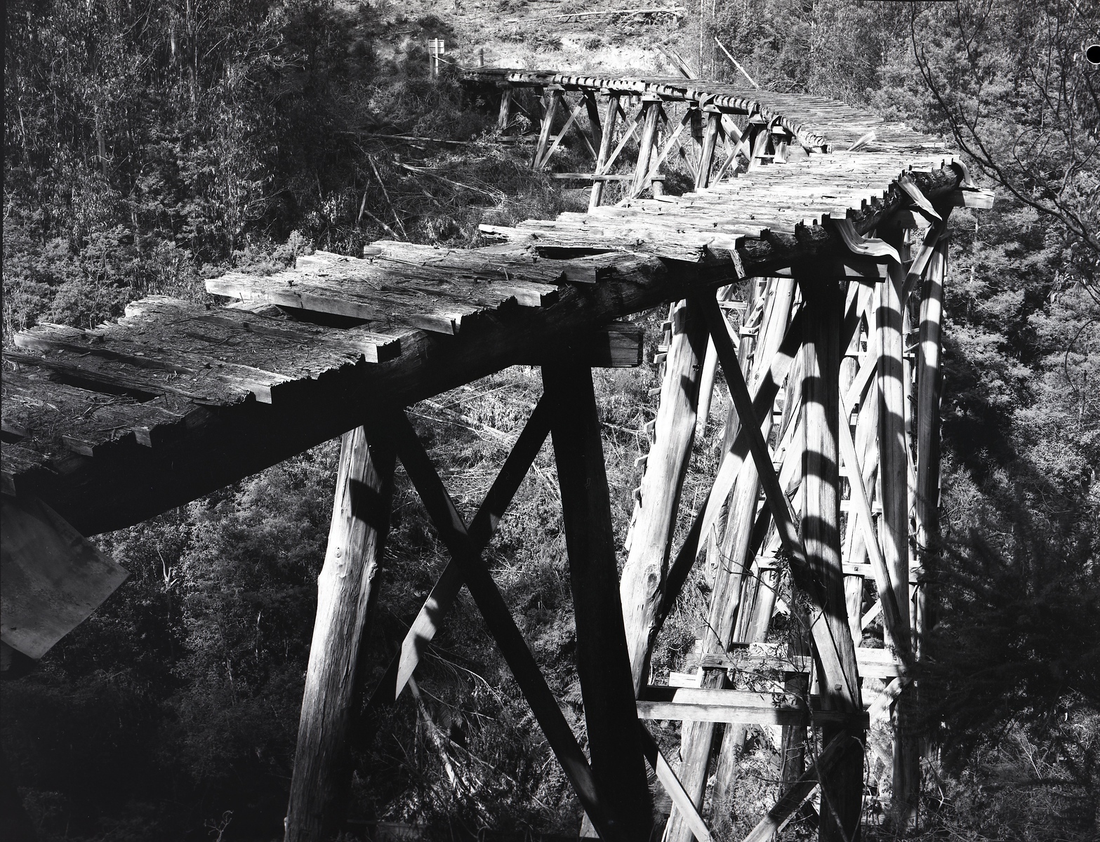 South Cascade Bridge. – Victoria’s Forests & Bushfire Heritage