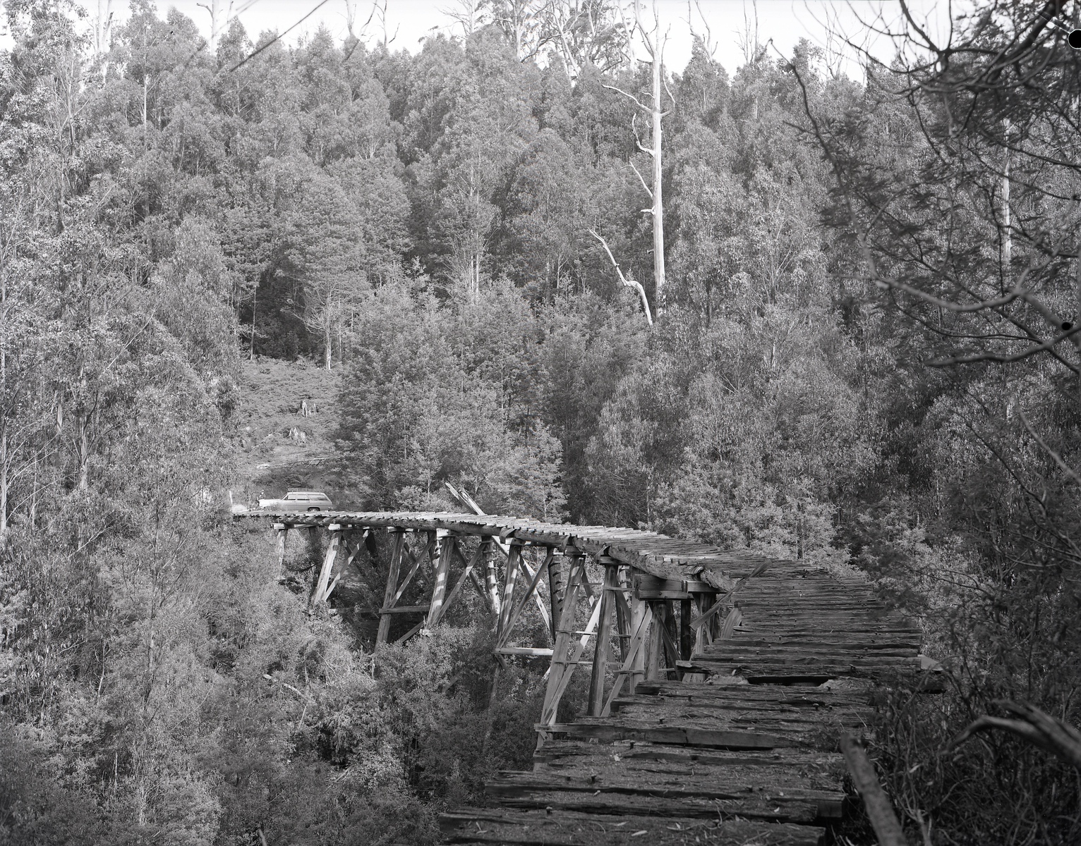 South Cascade Bridge. – Victoria’s Forests & Bushfire Heritage