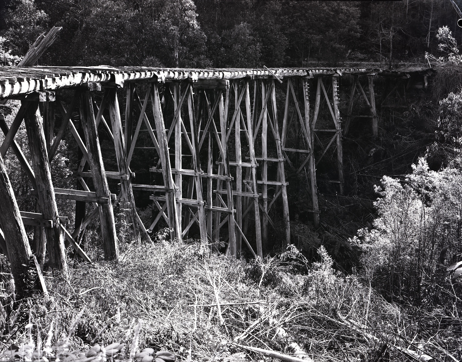 South Cascade Bridge. – Victoria’s Forests & Bushfire Heritage