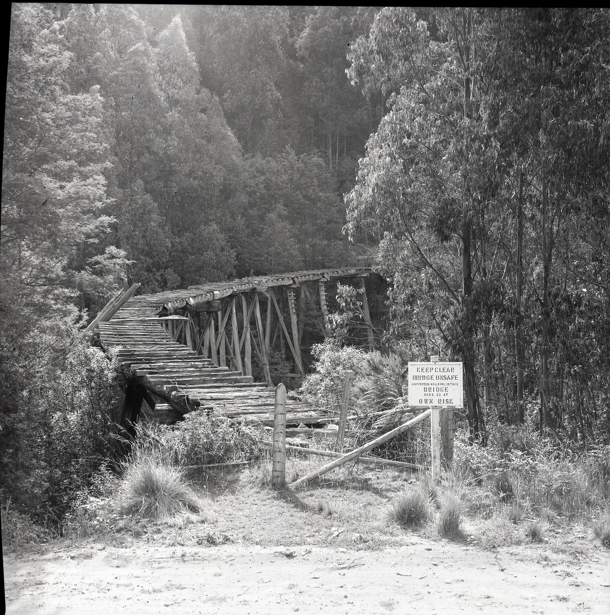 South Cascade Bridge. – Victoria’s Forests & Bushfire Heritage