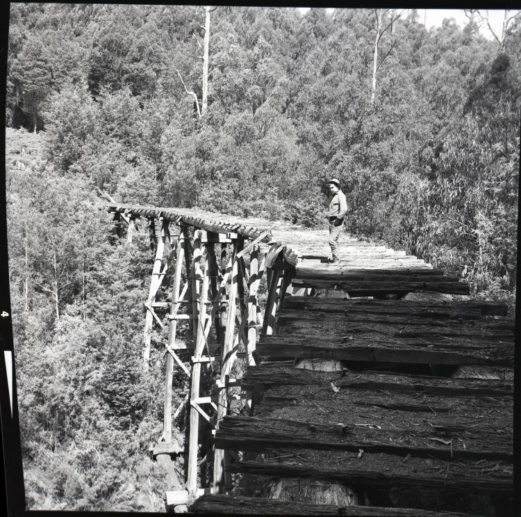 South Cascade Bridge. – Victoria’s Forests & Bushfire Heritage