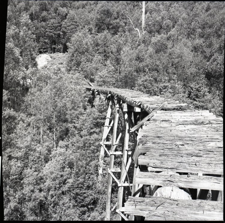 South Cascade Bridge. – Victoria’s Forests & Bushfire Heritage