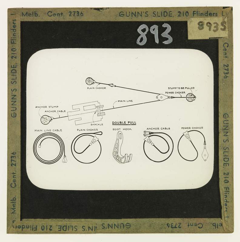 Skyline & High Lead Logging. – Victoria’s Forests & Bushfire Heritage