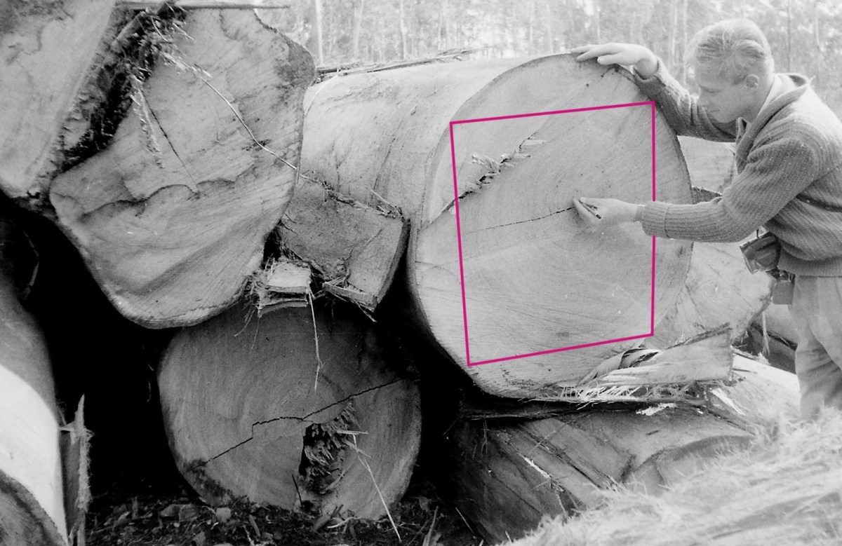 Hoppus Log Volume. – Victoria’s Forests & Bushfire Heritage