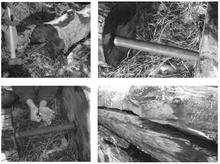 Splitting guns. – Victoria’s Forests & Bushfire Heritage