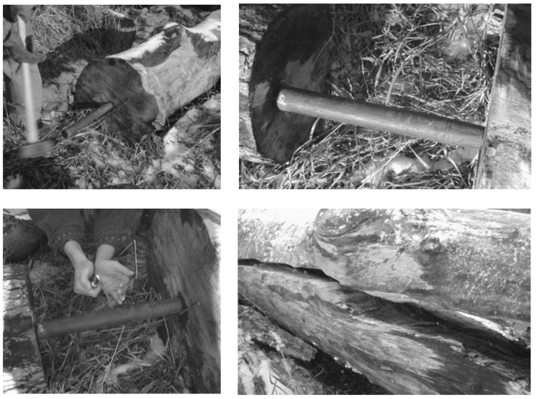 Splitting guns. – Victoria’s Forests & Bushfire Heritage