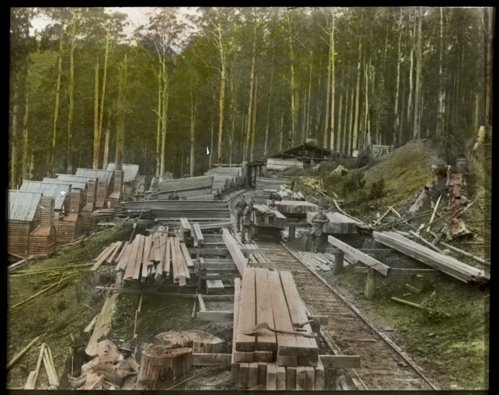 Henry’s sawmills – Otway Ranges. – Victoria’s Forests & Bushfire Heritage
