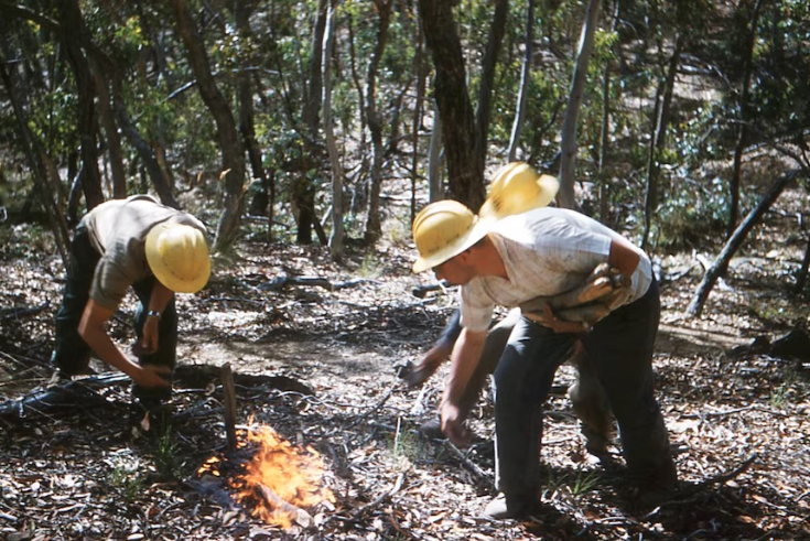 Alan McArthur – bushfire legend. – Victoria’s Forests & Bushfire Heritage