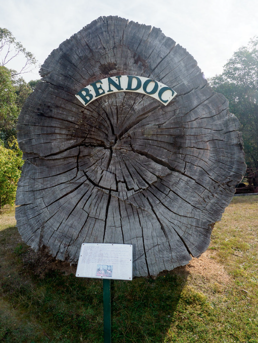 The Bendoc Log. – Victoria’s Forests & Bushfire Heritage
