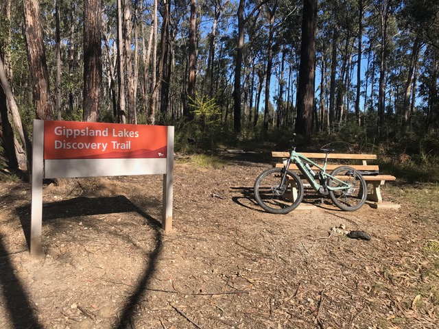 Mississippi Quarry – Colquhoun forest. – Victoria’s Forests & Bushfire ...