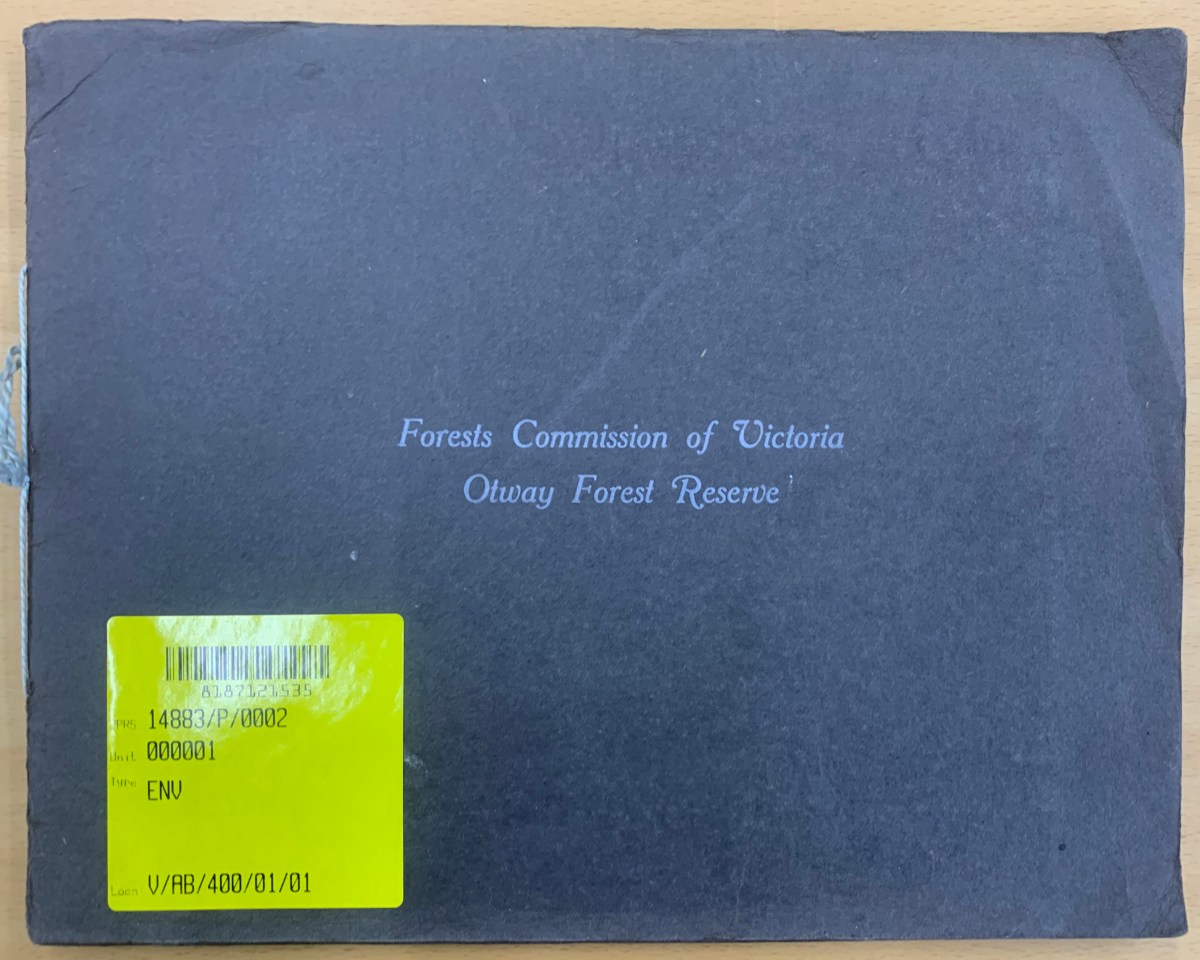 Otway Forests – 1920s. – Victoria’s Forests & Bushfire Heritage