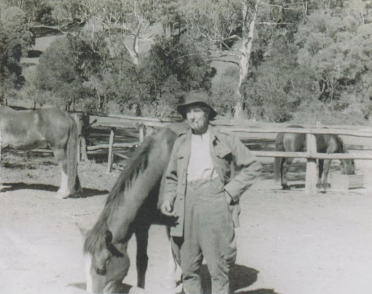 Fry’s Hut – Howqua Valley. – Victoria’s Forests & Bushfire Heritage