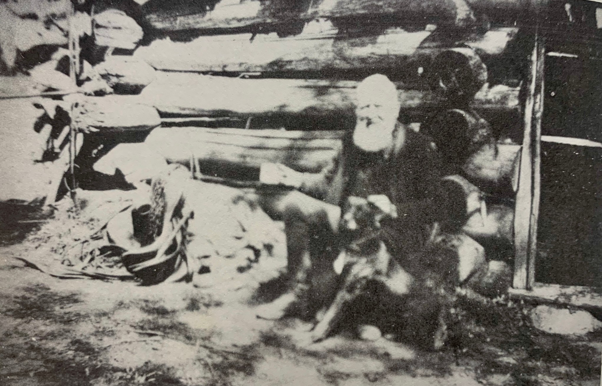 Fry’s Hut – Howqua Valley. – Victoria’s Forests & Bushfire Heritage