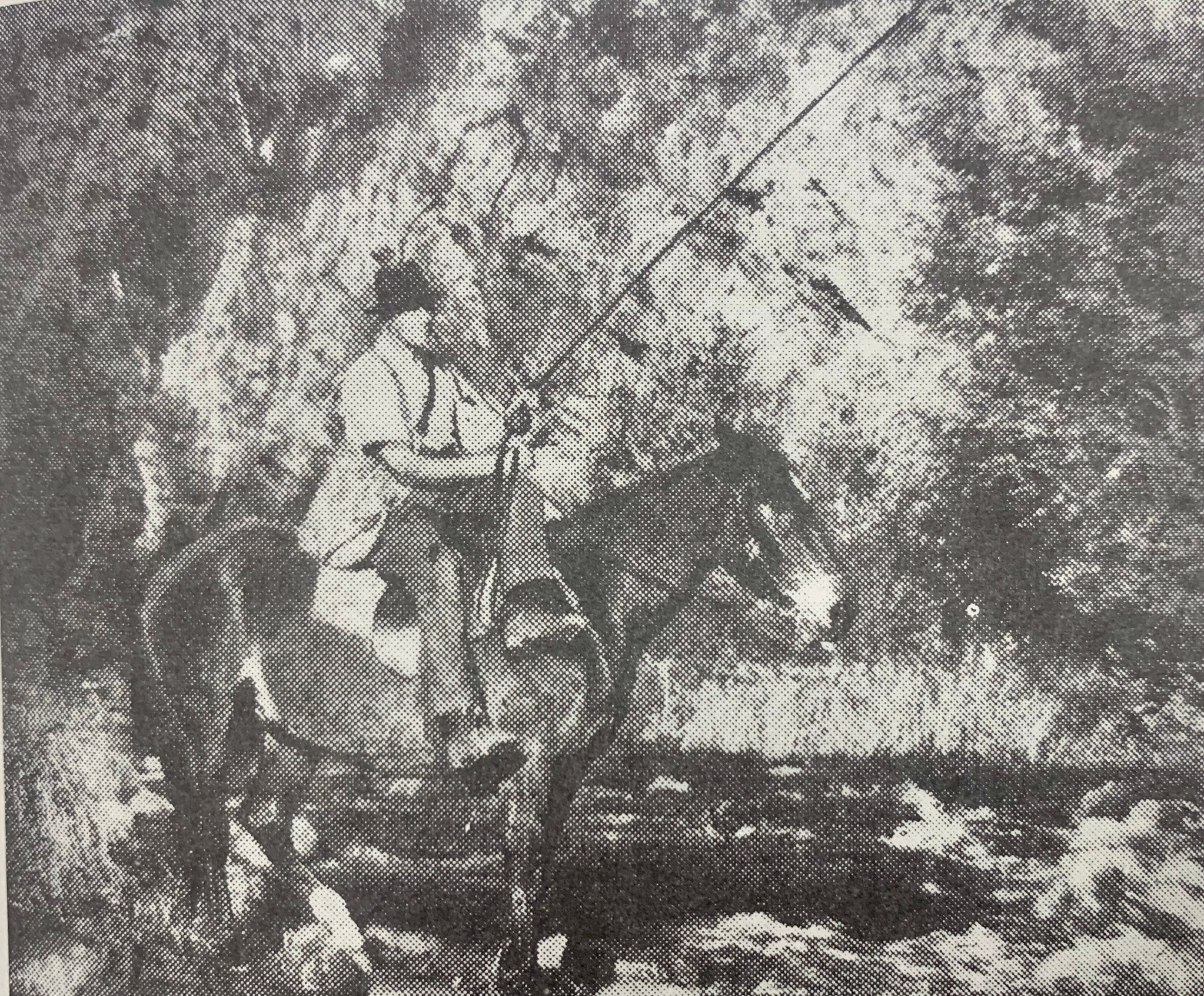 Fry’s Hut – Howqua Valley. – Victoria’s Forests & Bushfire Heritage