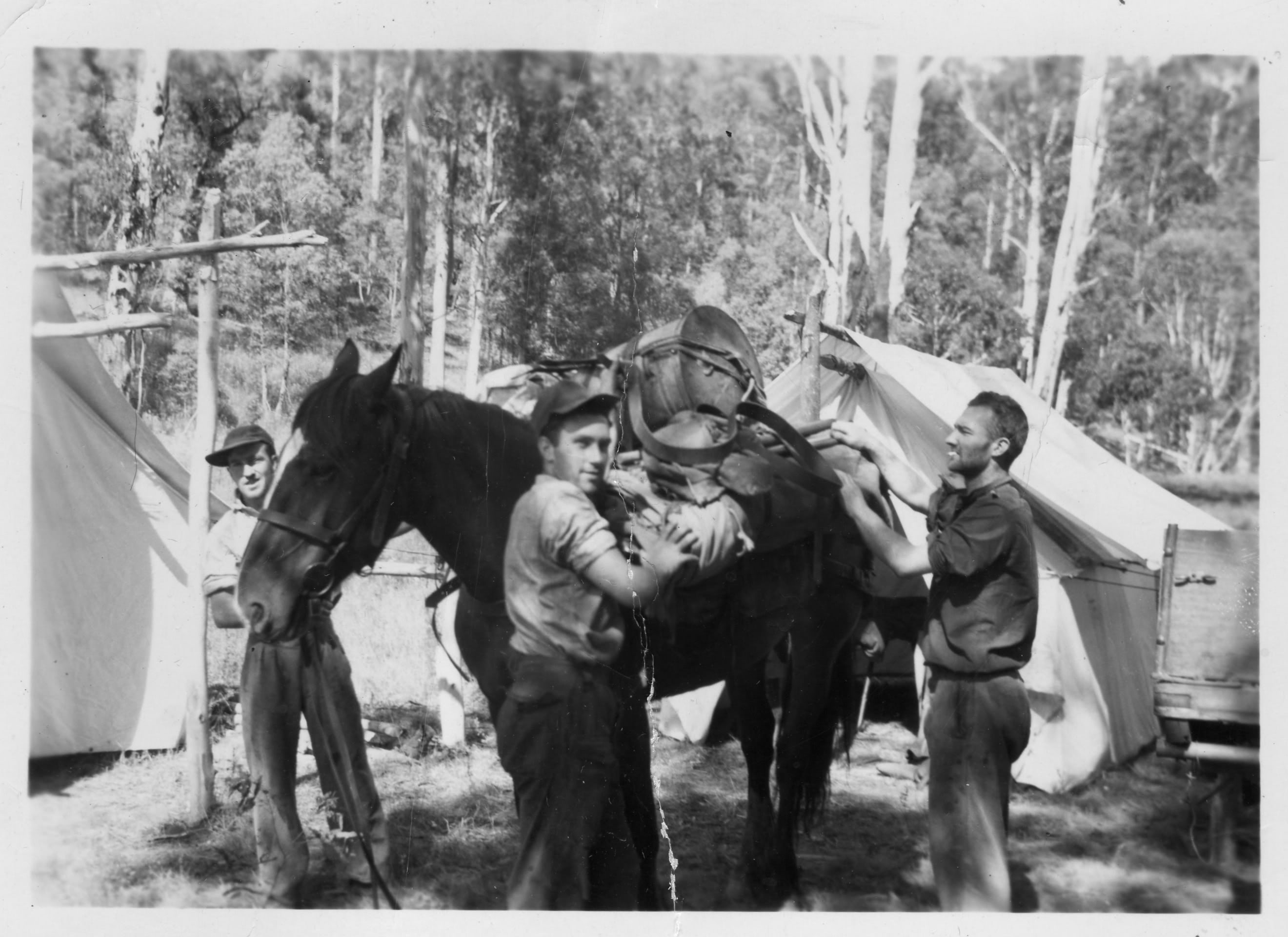 Fry’s Hut – Howqua Valley. – Victoria’s Forests & Bushfire Heritage