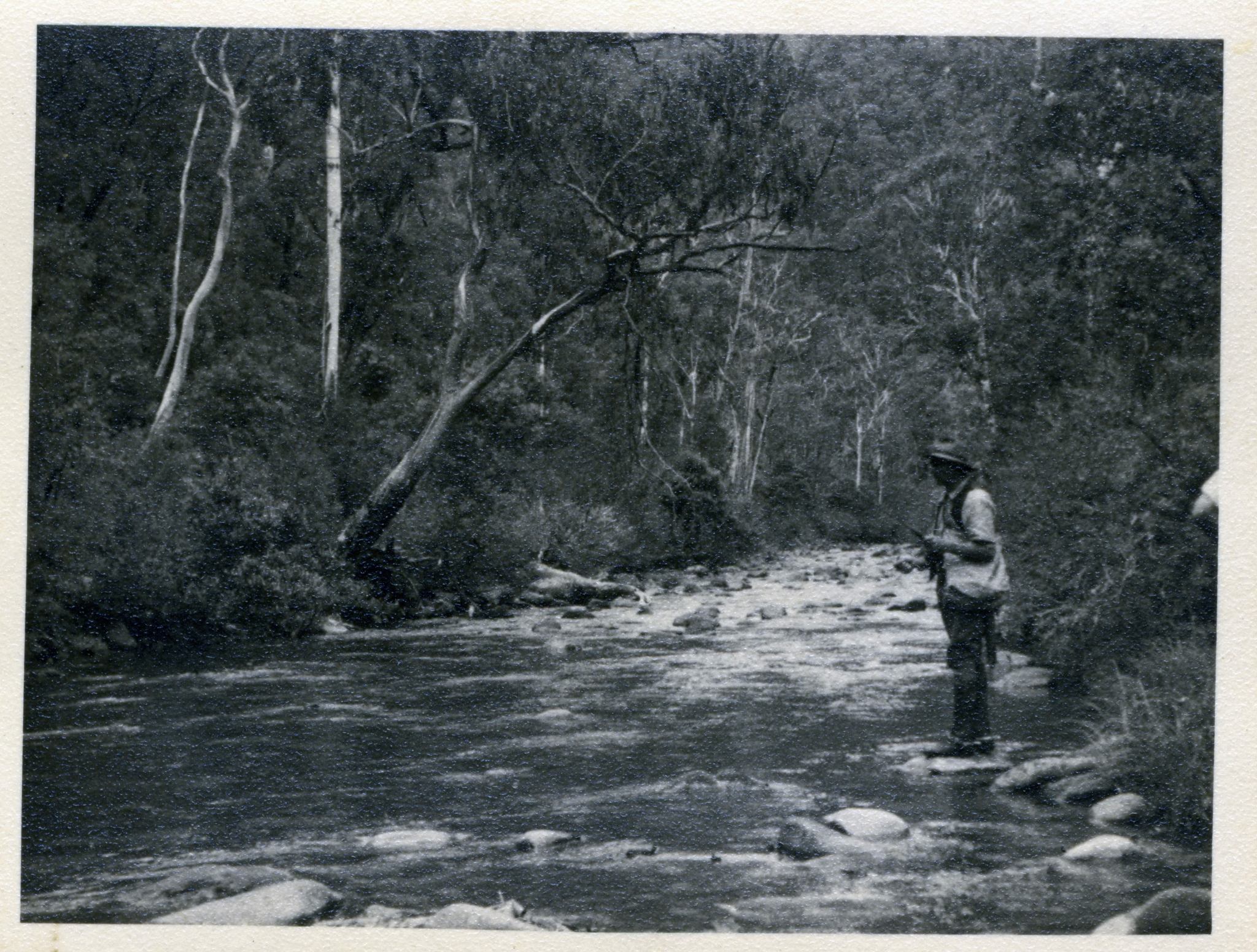 Fry’s Hut – Howqua Valley. – Victoria’s Forests & Bushfire Heritage