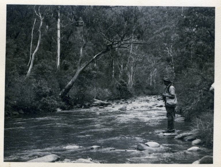 Fry’s Hut – Howqua Valley. – Victoria’s Forests & Bushfire Heritage