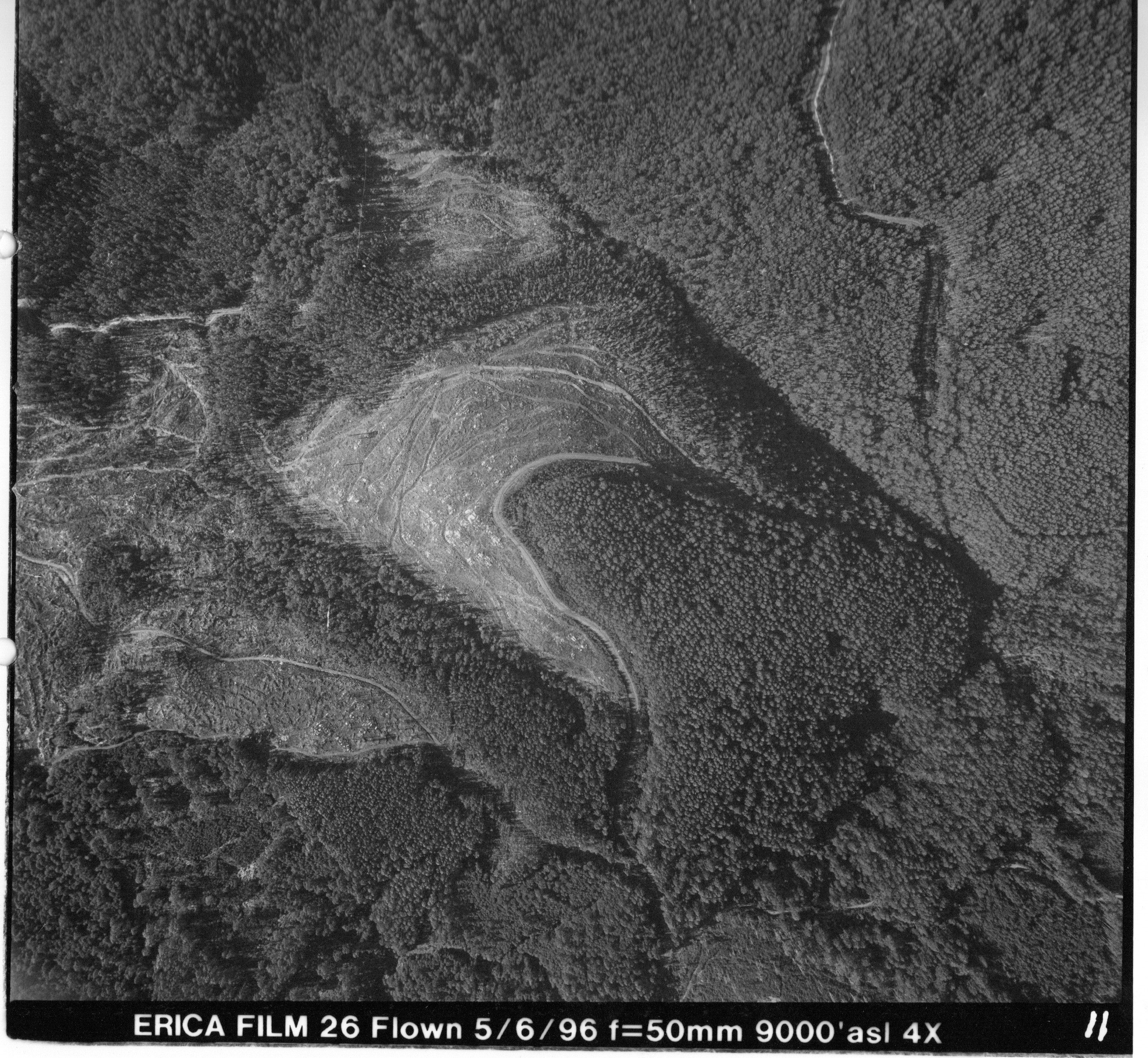 Aerial Photographic Interpretation (API). – Victoria’s Forests ...