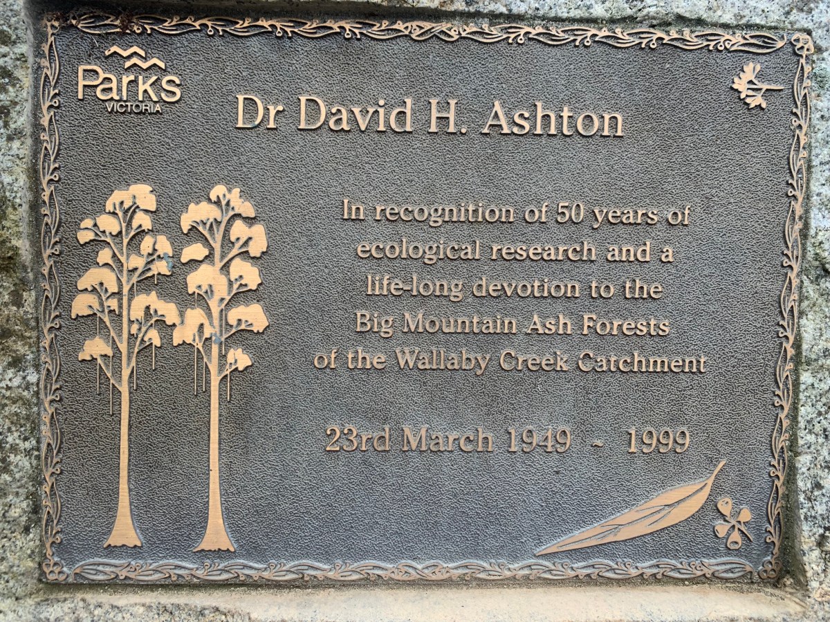 David Hungerford Ashton. – Victoria’s Forests & Bushfire Heritage