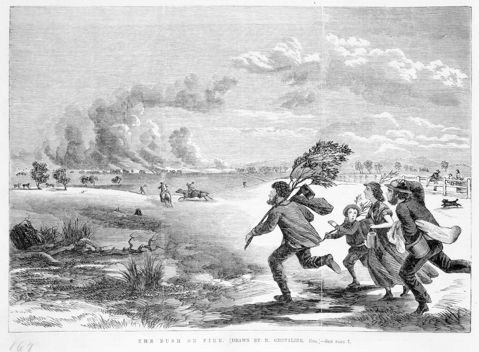 Bushfires in Victoria – 1800s. – Victoria’s Forests & Bushfire Heritage