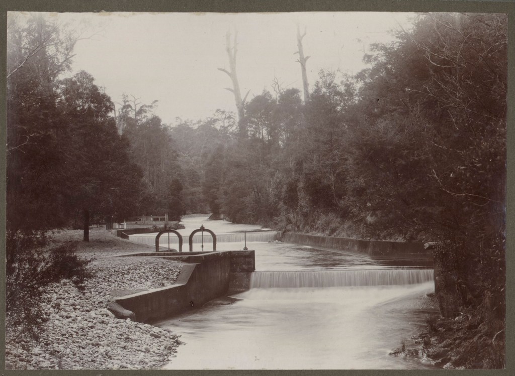 Melbourne’s Closed Water Catchments. – Victoria’s Forests & Bushfire ...