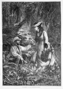 Pteridomania. – Victoria’s Forests & Bushfire Heritage