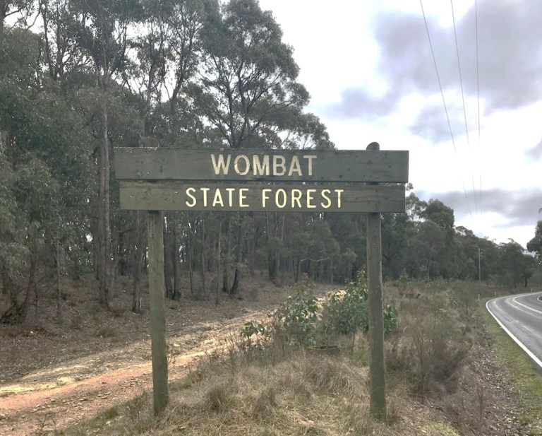 Wombat State Forest. – Victoria’s Forests & Bushfire Heritage