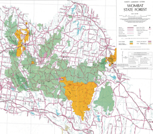 Wombat State Forest. – Victoria’s Forests & Bushfire Heritage