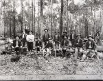 Wombat State Forest. – Victoria’s Forests & Bushfire Heritage