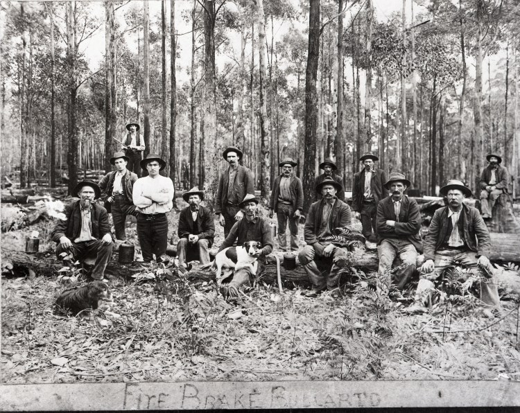 Wombat State Forest. – Victoria’s Forests & Bushfire Heritage