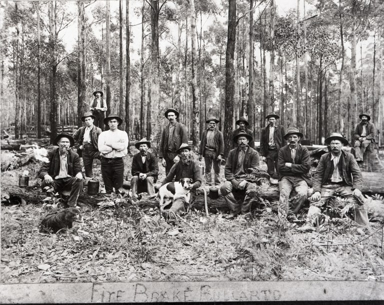 Wombat State Forest. – Victoria’s Forests & Bushfire Heritage
